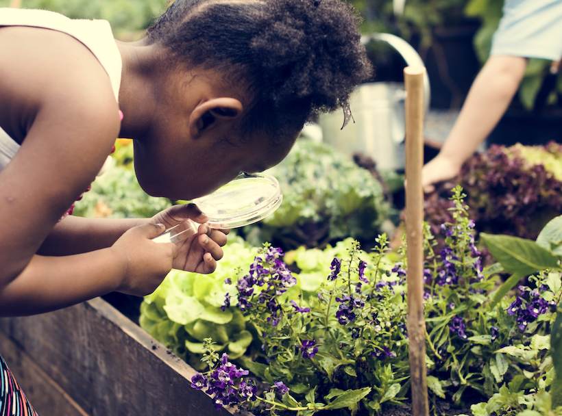 10 garden activity ideas for children | The PE Hub