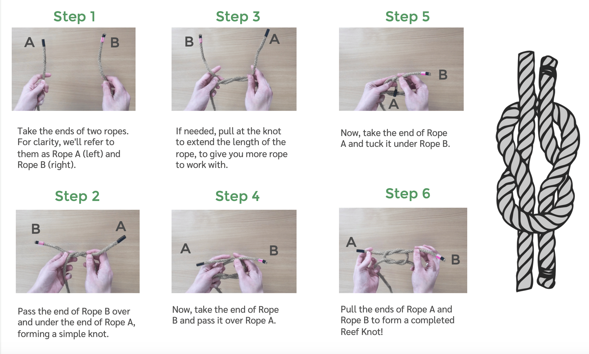 Tying a Reef Knot Instructions - Download PDF | The PE Hub