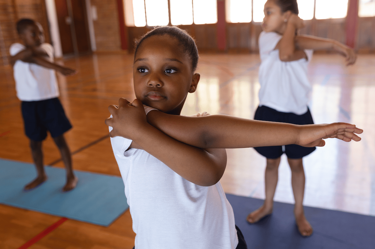 Ks1 Upper Body Muscles - Free Resource | The PE Hub