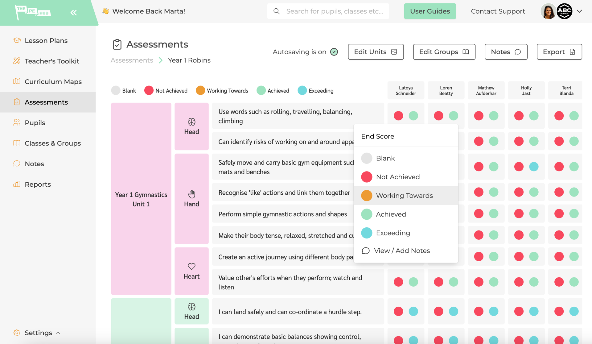 Primary PE Assessment Tool - Assessment Tracker | The PE Hub